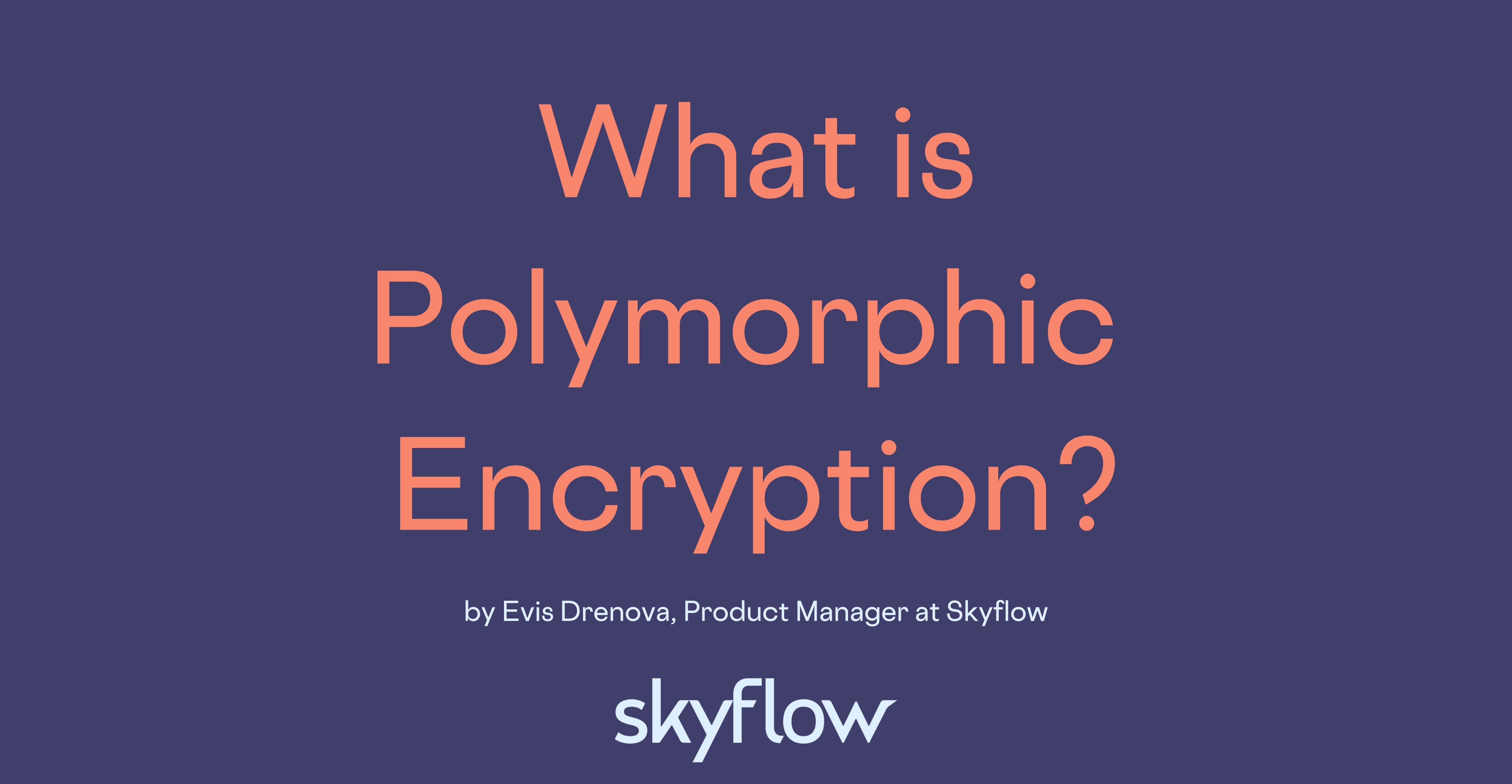 What Is Polymorphic Encryption Skyflow 